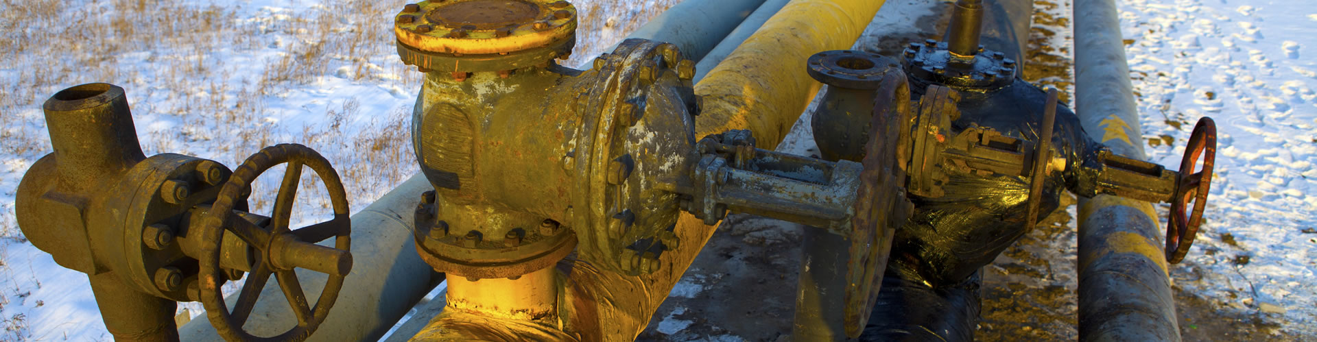 Request A Demo of ONE Asset Integrity Management Software